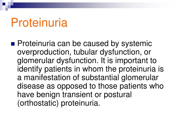 PPT - Nephrotic syndrome PowerPoint Presentation - ID:5133595