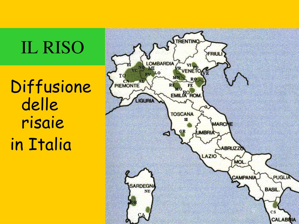 PPT - Il riso: coltivazione, lavorazione e classificazione PowerPoint ...