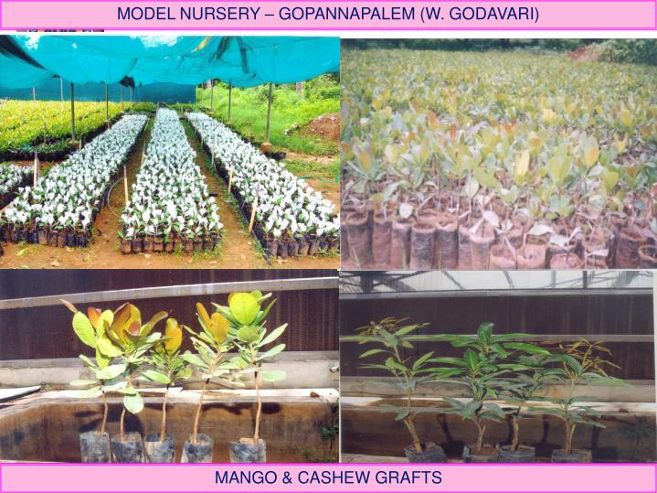 PPT - SWOC Analysis PowerPoint Presentation - ID:5134104