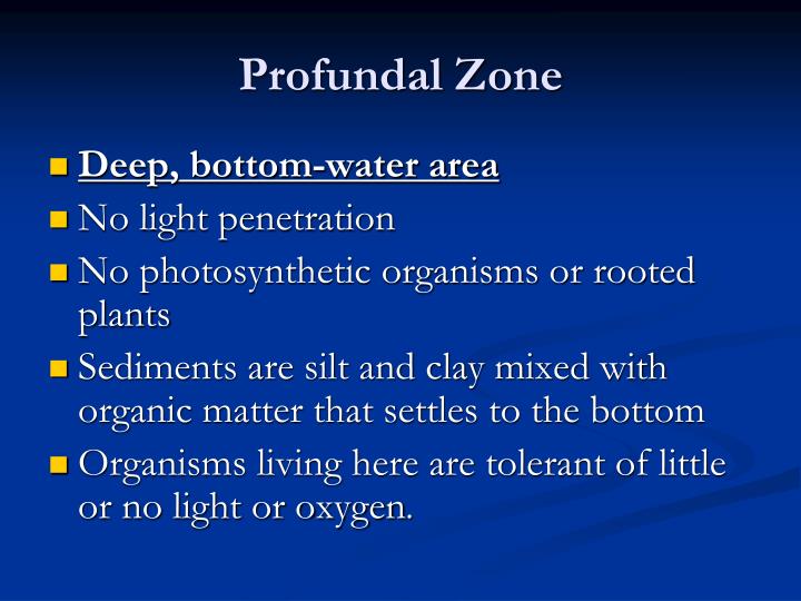 PPT - Lentic Systems PowerPoint Presentation - ID:5134162