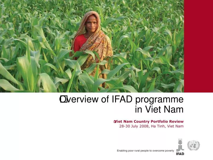 PPT - ﻿Overview of IFAD programme in Viet Nam PowerPoint Presentation ...