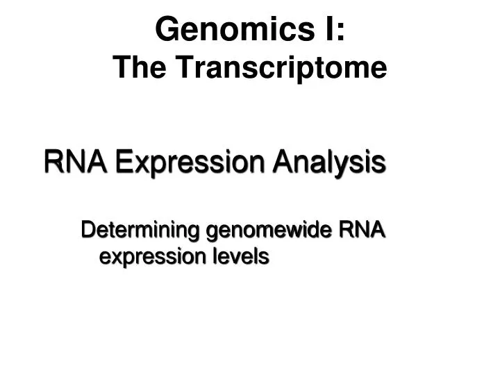 PPT - Genomics I: The Transcriptome PowerPoint Presentation, free ...
