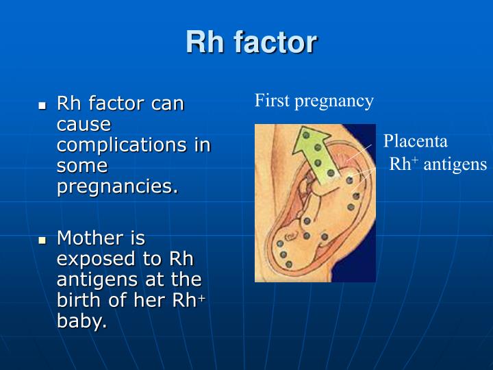 PPT - The Rhesus (Rh) Blood Group system PowerPoint Presentation - ID ...