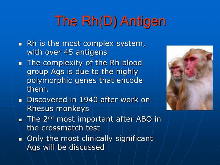 PPT - The Rhesus (Rh) Blood Group system PowerPoint Presentation - ID ...