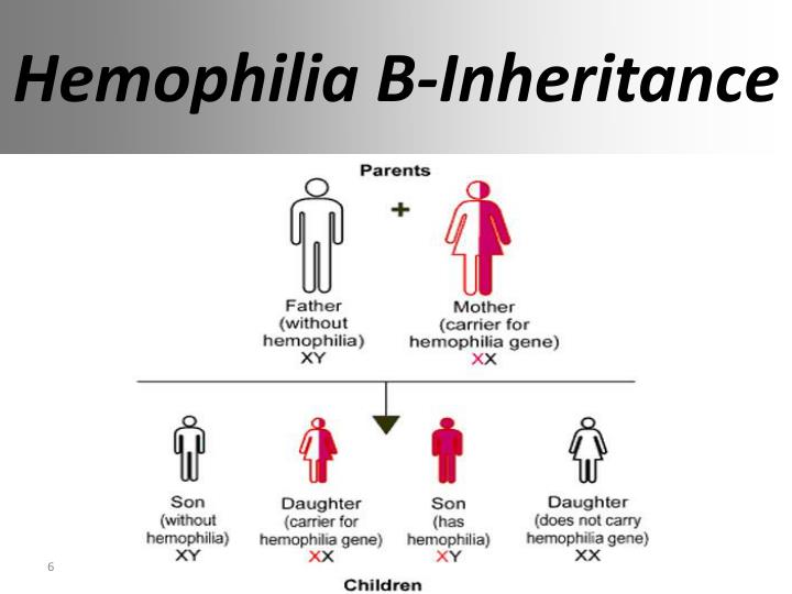 PPT - Hemophilia B PowerPoint Presentation - ID:5136134