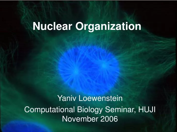 PPT - Nuclear Organization PowerPoint Presentation, free download - ID ...
