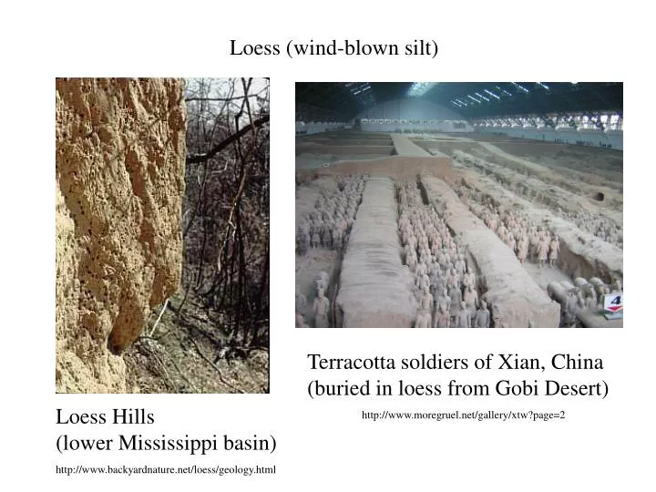 PPT - Loess (wind-blown silt) PowerPoint Presentation, free download ...