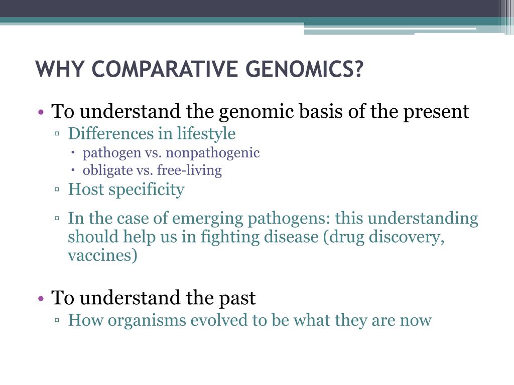 PPT - Comparative Genomics PowerPoint Presentation, free download - ID ... PPT - Comparative Genomics PowerPoint Presentation, free download - ID ...