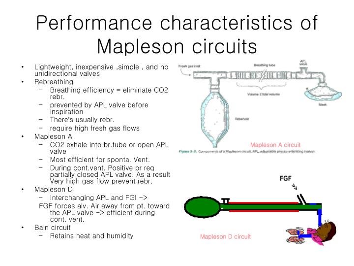 PPT - 3. Breathing Systems Morgan Anesthesia PowerPoint Presentation ...
