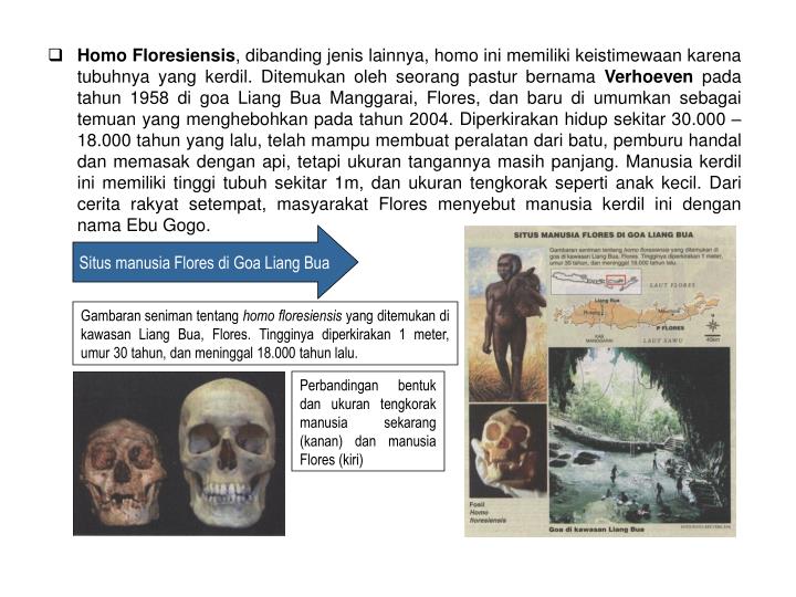 PPT - PERKEMBANGAN KEHIDUPAN MANUSIA PURBA DI INDONESIA PowerPoint ...