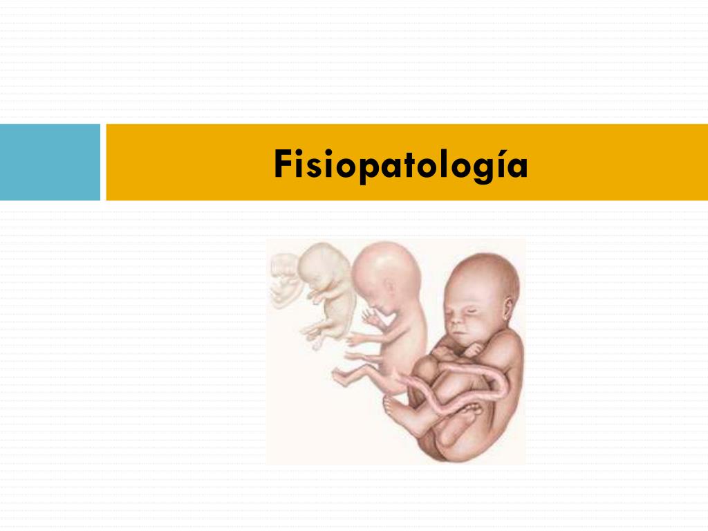 PPT - RESTRICCIÓN DEL CRECIMIENTO INTRAUTERINO (RCIU) PowerPoint ...
