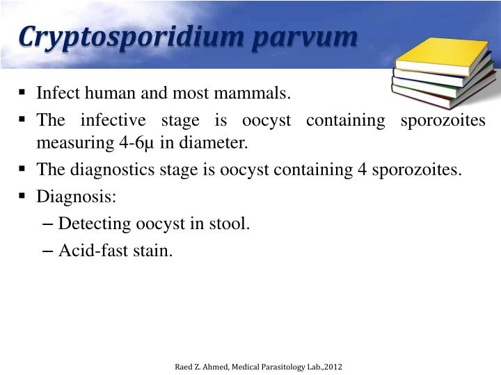 PPT - Medical Parasitology Lab. PowerPoint Presentation - ID:5140396