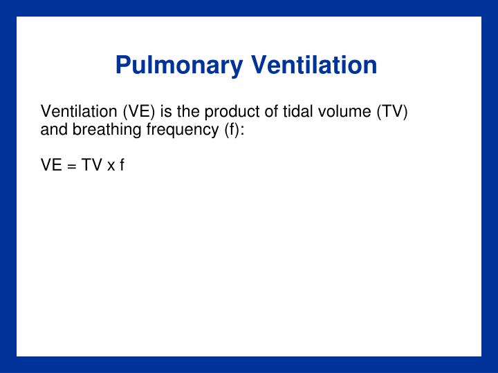 PPT - The Respiratory System and Its Regulation PowerPoint Presentation ...