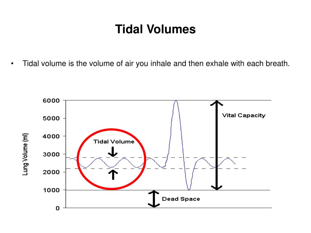 What Is Tidal Volume Quora What Is Tidal Volume Quora
