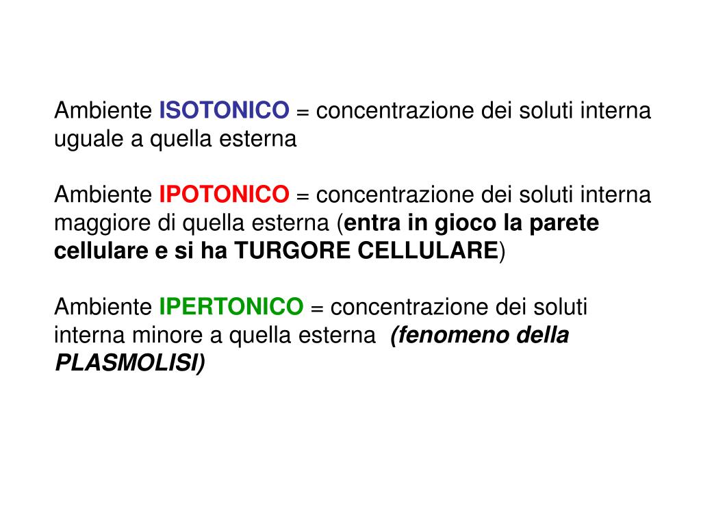 PPT - METABOLISMO CELLULARE METABOLISMO PRIMARIO: PowerPoint ...