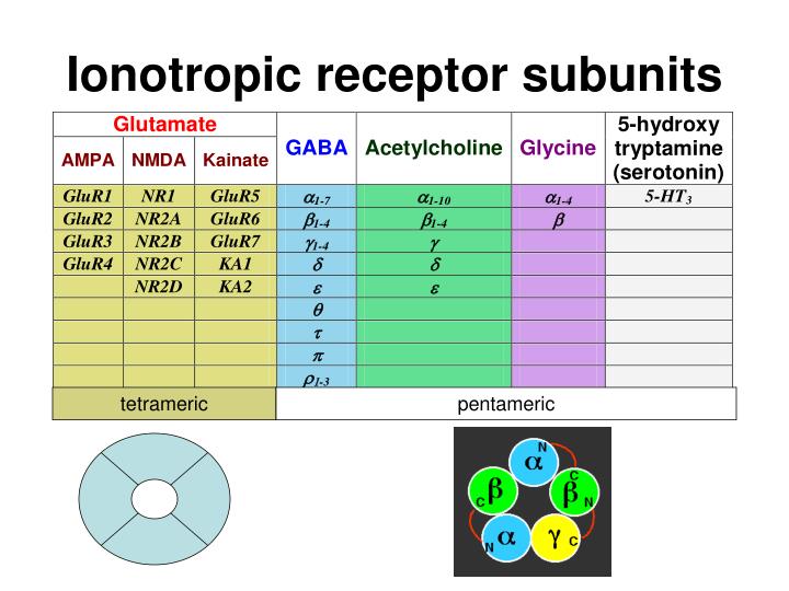 PPT - Receptors and transduction mechanisms - I PowerPoint Presentation ...