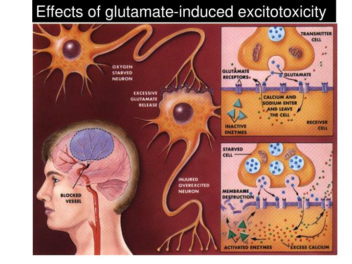 PPT - Receptors and transduction mechanisms - I PowerPoint Presentation ...