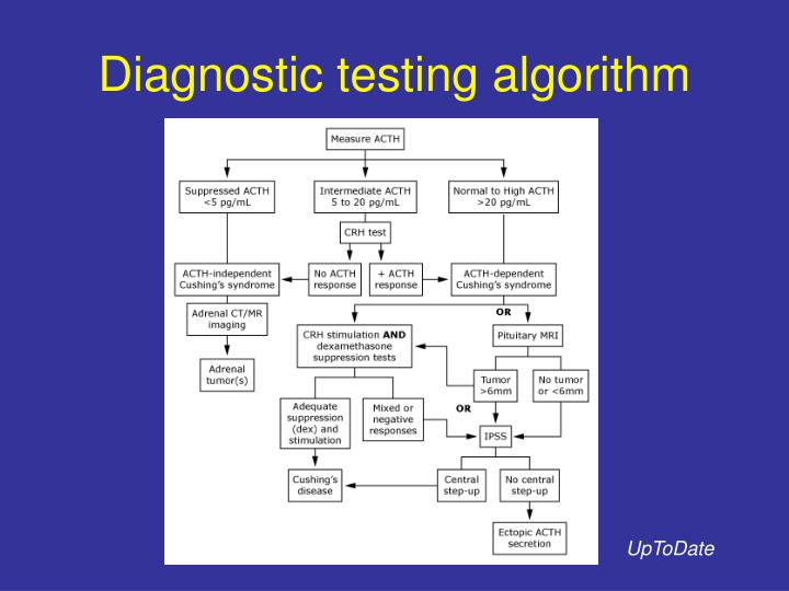 PPT - Adrenal mass PowerPoint Presentation - ID:5144325