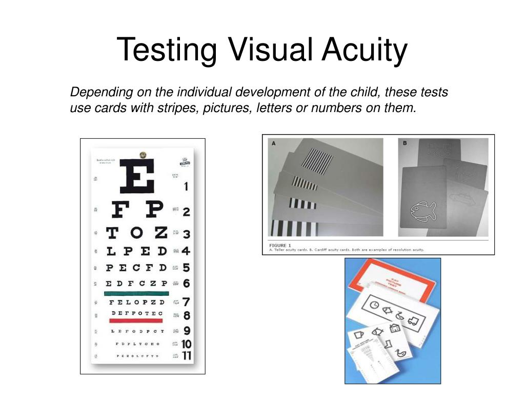 PPT Usher Syndrome Working With Families In The Early Years 