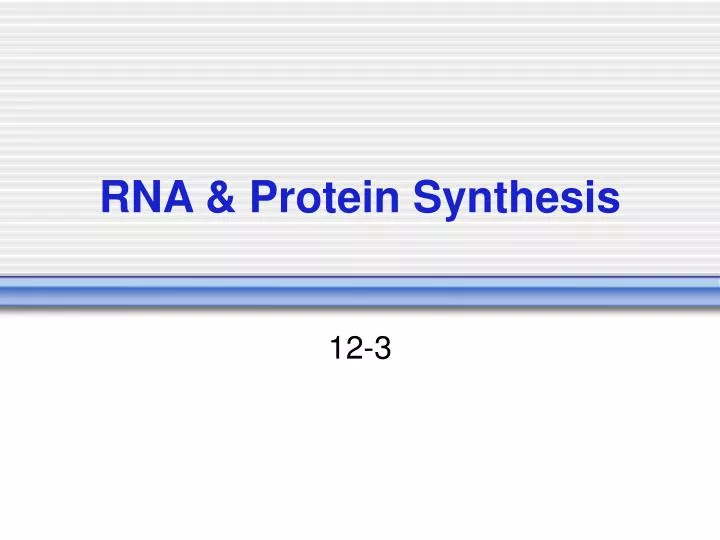 PPT - RNA & Protein Synthesis PowerPoint Presentation, free download ...
