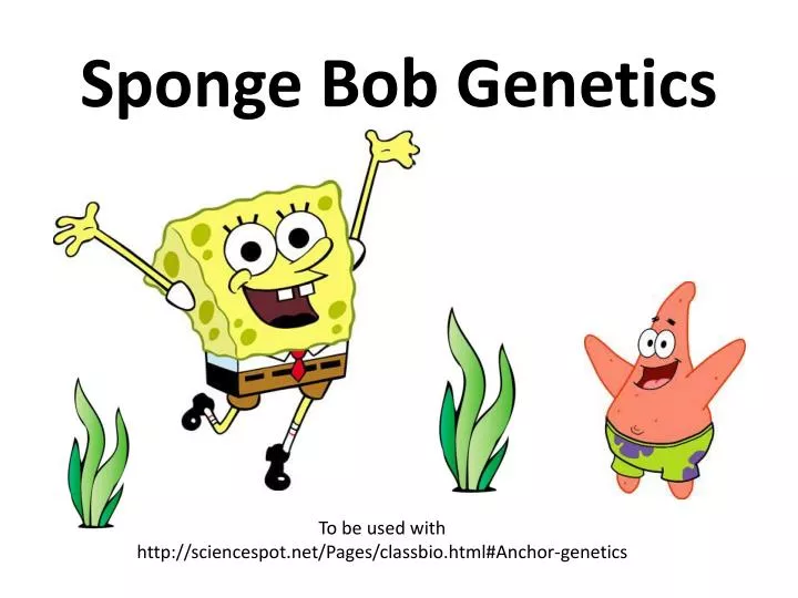 PPT - Sponge Bob Genetics PowerPoint Presentation, free download - ID ...