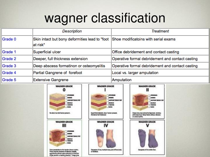 PPT - Diabetic foot and ankle PowerPoint Presentation - ID:5151351