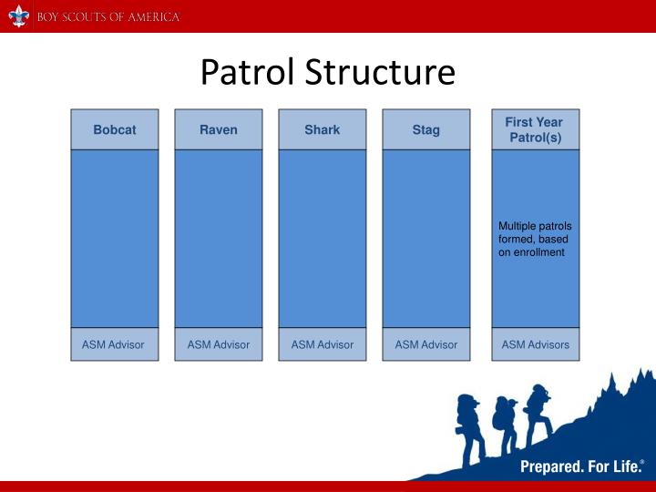 PPT - Boy Scout Troop 230 Operations PowerPoint Presentation - ID:5151918