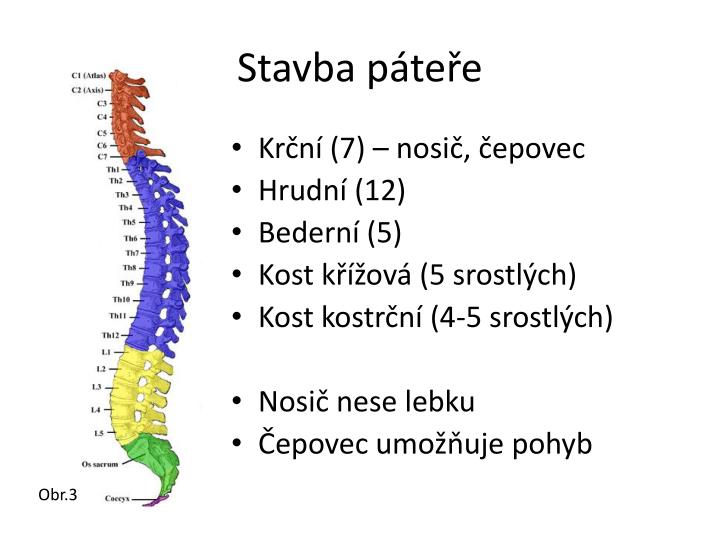 PPT - SOUSTAVA OPĚRNÁ PowerPoint Presentation - ID:5153057