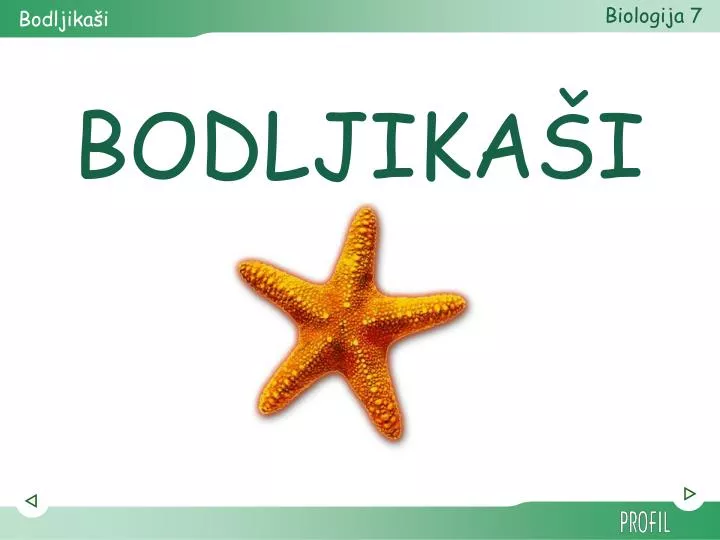 PPT - BODLJIKAŠI PowerPoint Presentation, free download - ID:5153894