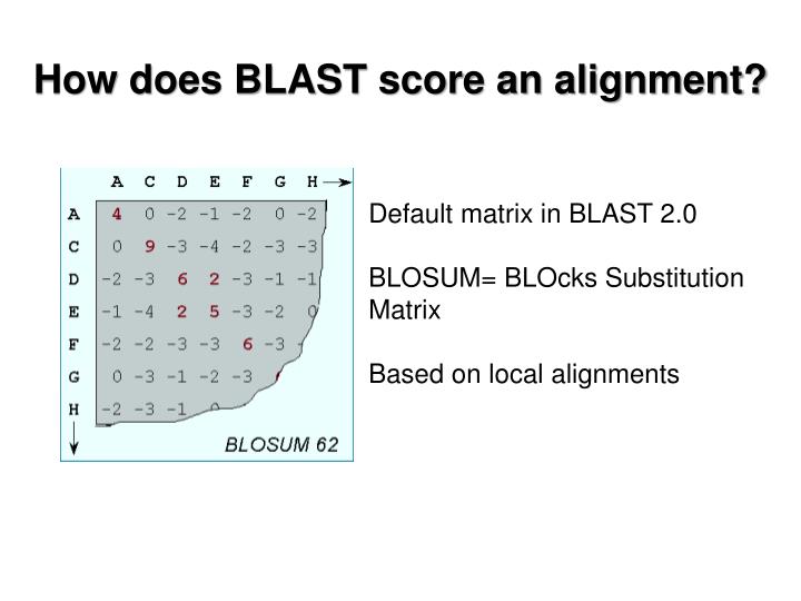 PPT - Homology assessment and molecular sequence alignment. PowerPoint ...