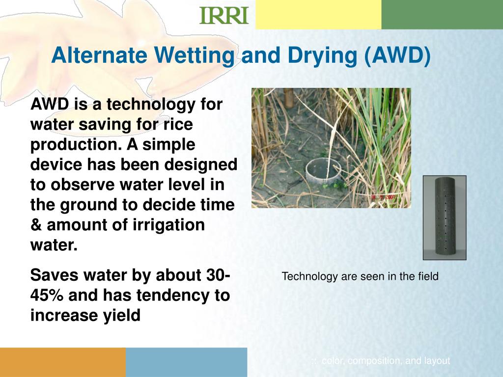PPT - Innovative Rice Production Technologies for Food Security and ...