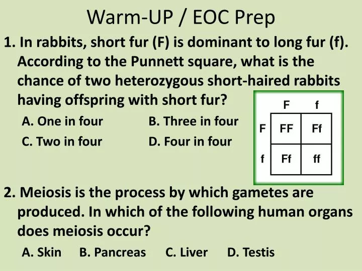 PPT - Warm-UP / EOC Prep PowerPoint Presentation, free download - ID ...