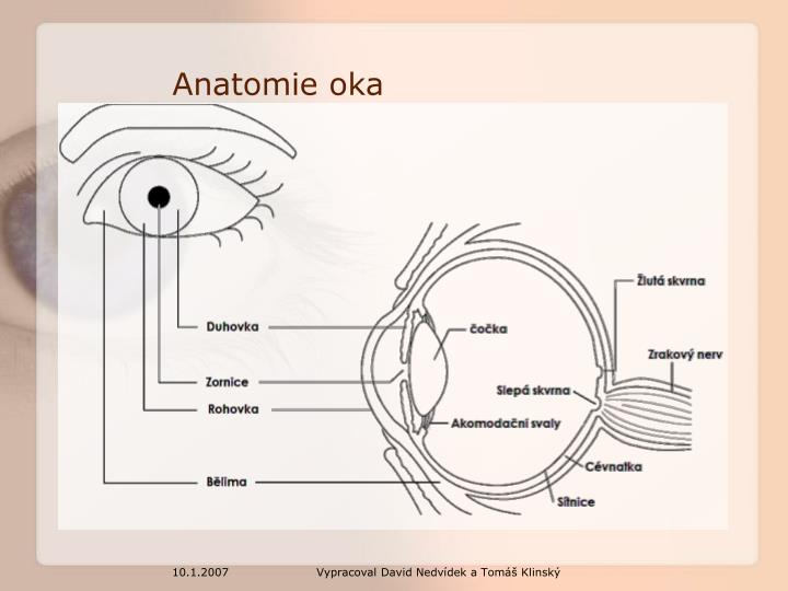 PPT - Lidské oko PowerPoint Presentation - ID:5161556