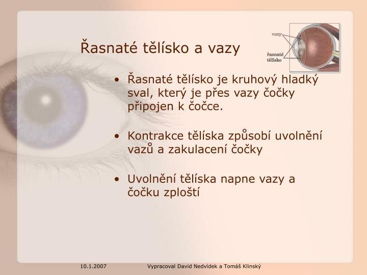 PPT - Lidské oko PowerPoint Presentation - ID:5161556