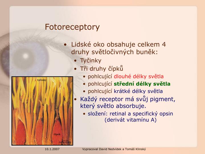 PPT - Lidské oko PowerPoint Presentation - ID:5161556