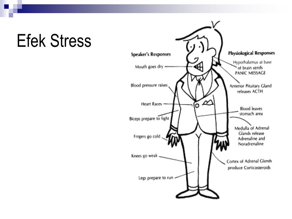 PPT - Pengembangan Karakter & Manajemen Stress PowerPoint Presentation ... PPT - Pengembangan Karakter & Manajemen Stress PowerPoint Presentation ...