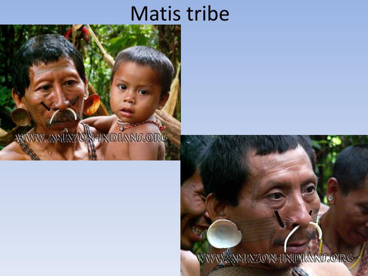 PPT - Concept of Beauty in tribes PowerPoint Presentation - ID:5163581