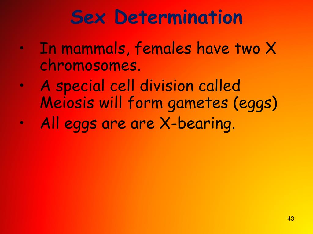 Ppt Cross Dressing Or Crossing Over Sex Testing Of Women Athletes