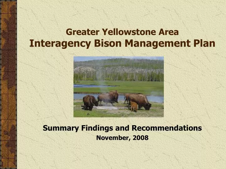 PPT - Greater Yellowstone Area Interagency Bison Management Plan PowerPoint Presentation - ID ...