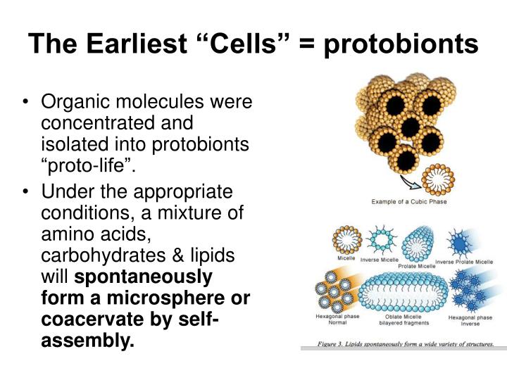 PPT - Early Earth and the Origin of Life PowerPoint Presentation - ID:5166805