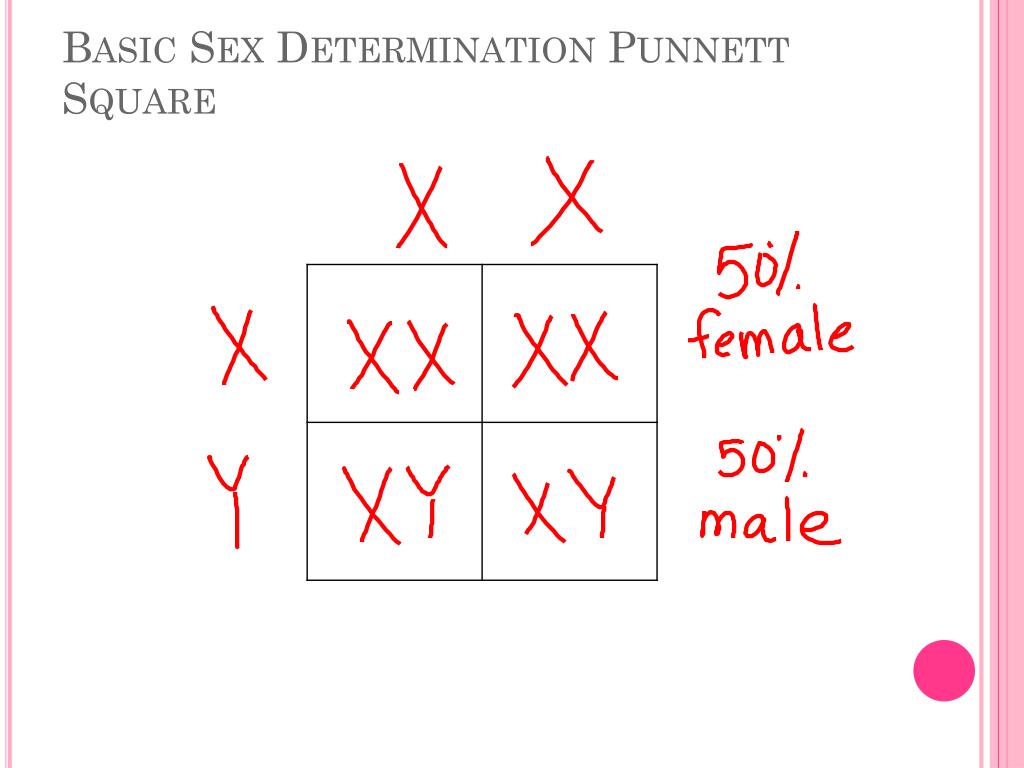 Ppt Basic Genetics Powerpoint Presentation Free Download Id 5167694