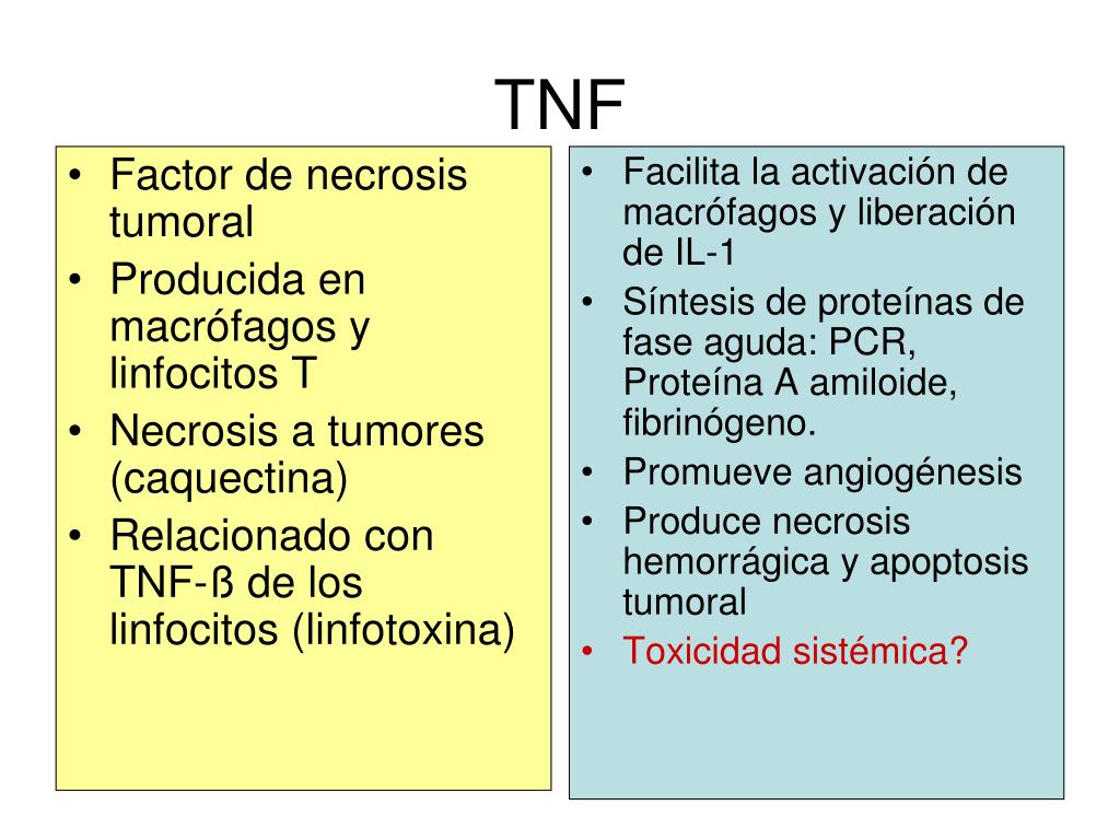 PPT - Citocinas y Quimiocinas PowerPoint Presentation, free download ... PPT - Citocinas y Quimiocinas PowerPoint Presentation, free download ...