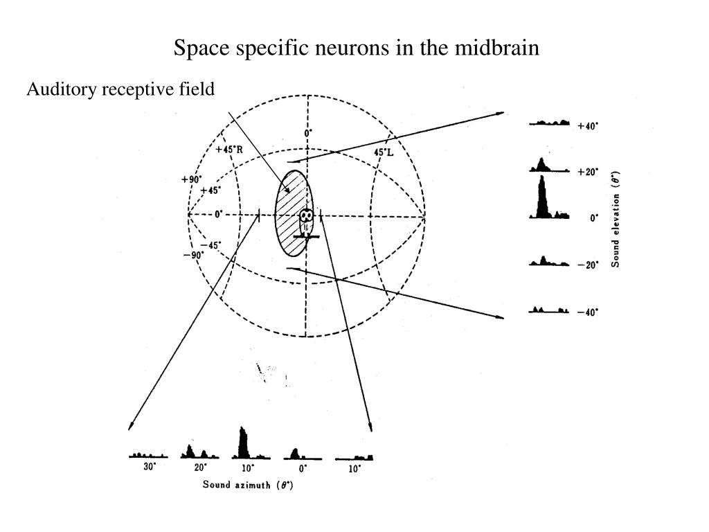 PPT - people.virginia/~mk3u/Fukuoka/ PowerPoint Presentation, free ...