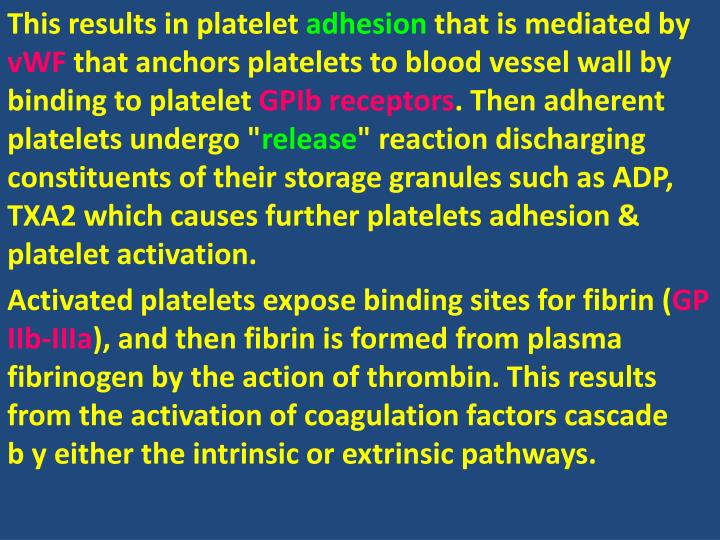PPT - Coagulation Disorders PowerPoint Presentation - ID:5169979