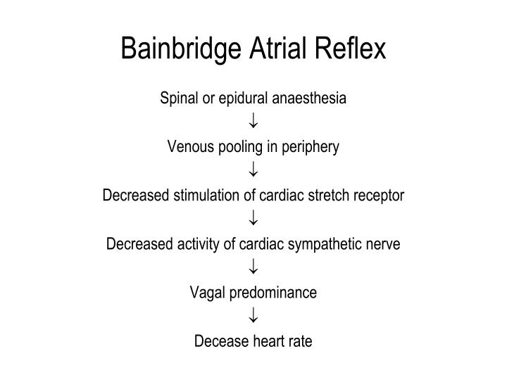 PPT - Cardiac reflexes and implications in anaesthetic practice ...