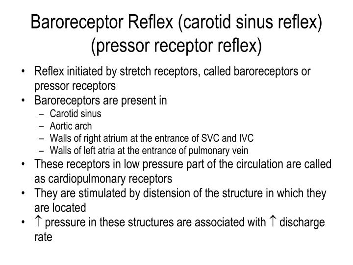 PPT - Cardiac reflexes and implications in anaesthetic practice ...