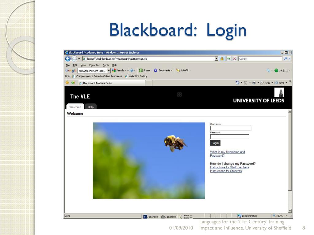 PPT - Innovative Teaching: Second Language Translation via Blackboard ...