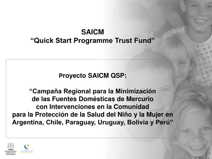 PPT - SAICM “Quick Start Programme Trust Fund” PowerPoint Presentation - ID:5175322