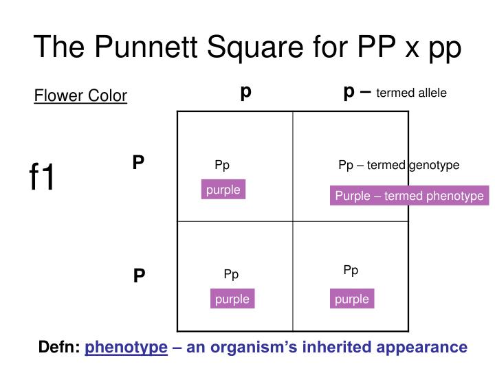 PPT - Chapter 5 PowerPoint Presentation - ID:5175478