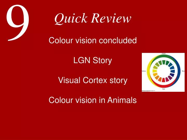 PPT - Quick Review PowerPoint Presentation, free download - ID:5179429